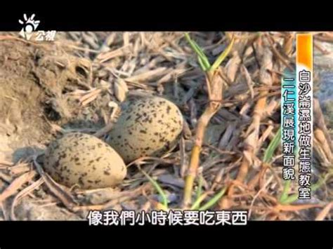 104 01 16 南部開講 在地旅行 茄萣生態旅遊新亮點 YouTube