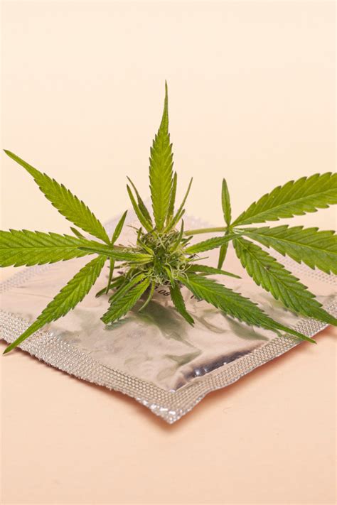 The Best Weed For Sex A Guide To Enhancing Your Sexual Pleasure Flight2vegas Smoke Shop The Best Weed For Sex A Guide To Enhancing Your Sexual Pleasure Flight2vegas Smoke Shop