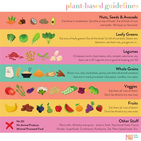 Plant Based Basics New Norm Co