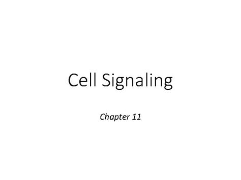 Cell Signaling Chapter 11 First Signals Sex And