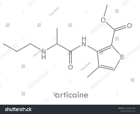 Articaine Structure Local Anaesthetic Drug Molecule Stock Vector Royalty Free 2090871769