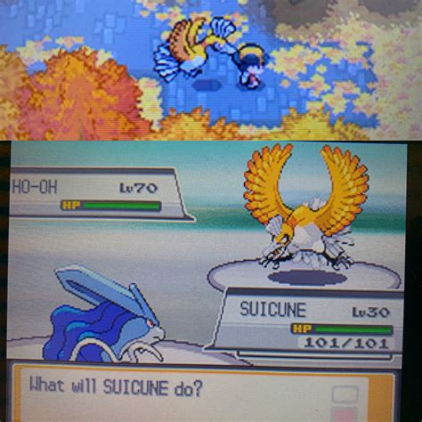177 Best Hgss Images On Pholder Shiny Pokemon Nuzlocke And Pokemon Tcg