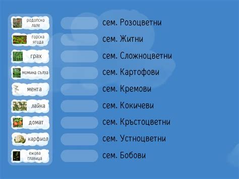 Многообразие на покритосеменните растения Match Up