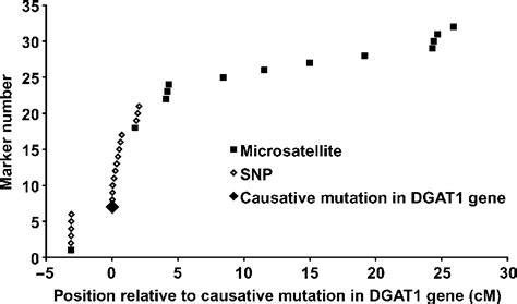 Figure 1 From Breeding Value Estimation For Fat Percentage Using Dense