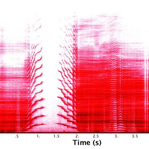 Short Term Fourier Transform Of A Creaky Door Sound Download Scientific Diagram