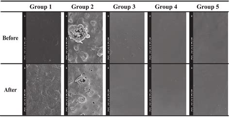 Scanning Electron Microscopy Images Magnification ×500 Of Coated