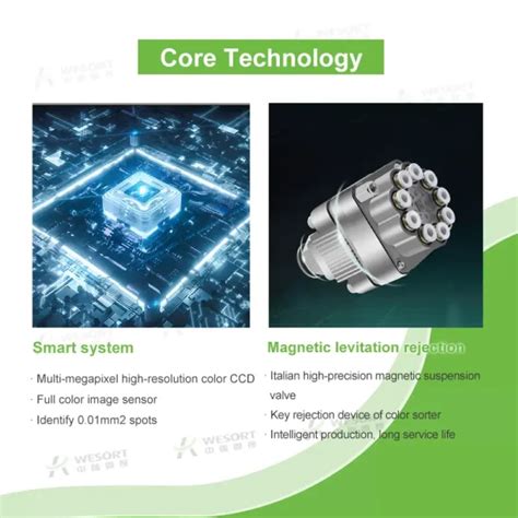 Infrared Nut Color Sorter Colour Sorting Machine Manufacturers Wesort