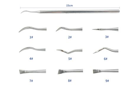 Dental Scaler Numbers At Michiko Durbin Blog