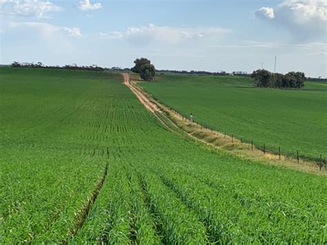 Speed Soil Moisture Monitoring Soil Moisture Monitoring