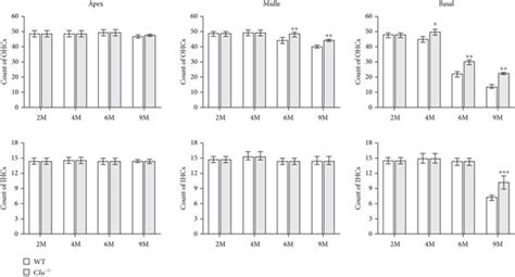 Assessment Of Age Related Morphology Of Hair Cells And Supporting Download Scientific Diagram