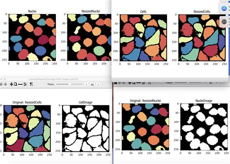 Image Cropping Error Message When Attempting To Resize Images In 3d