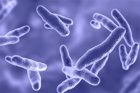 Proctalgia Fugax Causes Symptoms And Treatments Kanjo