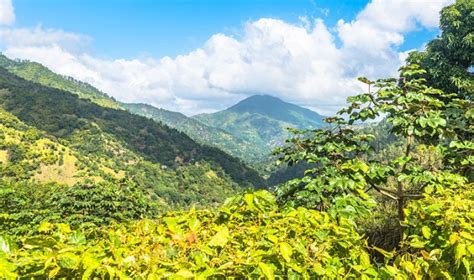 牙买加旅游指南 5 世界风俗网