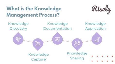 What Is The Knowledge Management Process With Effective Tips Risely