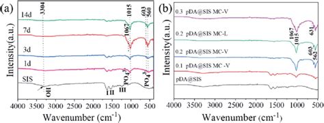Ir Patterns Of Samples A Sis And Sis Mineralized Collagen Membranes Download Scientific