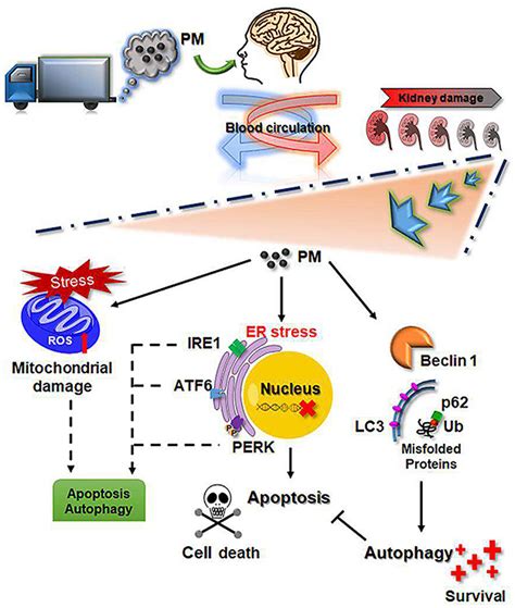 Traffic Congestion Sustainable Development Goals Resource Centre