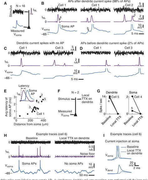 Figure 7 From Systems Based Analysis Of Dendritic Nonlinearities Reveals Temporal Feature