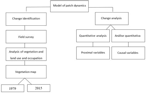 Patch Dynamics Model Applied In The Study Area Download Scientific Diagram Patch Dynamics Model Applied In The Study Area Download Scientific Diagram