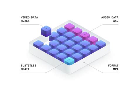 Navigating The Codec Landscape For 2025 Av1 H 264 H 265 Vp8 And Vp9