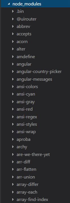 Why Does Npm Install All These Packages I Dont Have Them In My