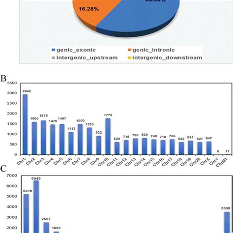 The Annotation Of Long Non Coding Rnas Lncrnas In Rat Atrial Tissues