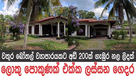 ගෙදරට යනකොට ලස්සන පොකුණක් තියනවා මාලු ඇති කරන්න හරි Swimming Pool එකකට Youtube