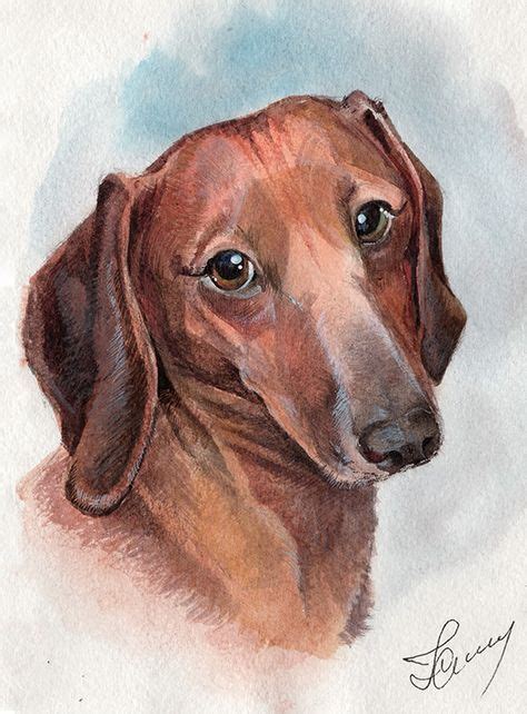 Пин от пользователя Марина Булгакова на доске Dachshund Собака