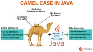 Camel Case In Java The Thrilling Journey To Coding Success