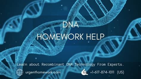 DNA Homework Help Recombinant DNA Technology DNA Assignment Help