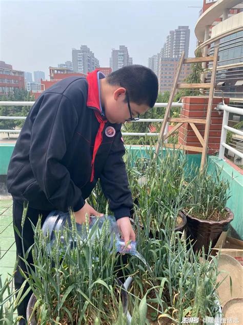 珍惜盘中餐这是对袁隆平老先生最好的纪念 澎湃号湃客 澎湃新闻 The Paper