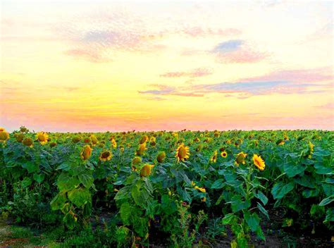 ГЕРБ Сливен ГЕРБ Сливен Added A New Photo