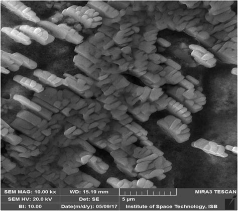 Sem Micrograph Of Synthesised Agnps Download Scientific Diagram