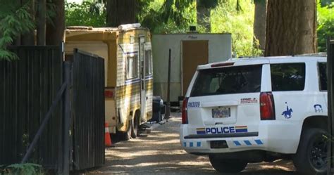 Multiple Arrests Made After Shots Fired In Maple Ridge Bc Globalnewsca