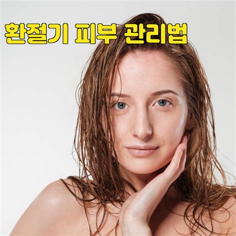 환절기엔 이렇게 건성 피부와 지성 피부 관리법 네이버 블로그