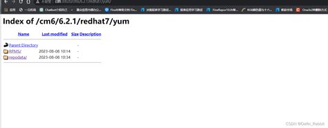 已解决，forbidden you don‘t have permission to access this resource