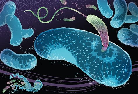 Predatory Bacteria Uzh