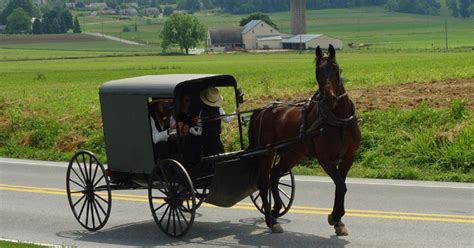 Amish People Do Get Vaccinated Full Fact