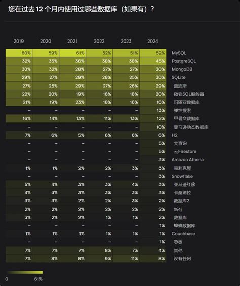 2024年度全球开发者报告 电鸭社区