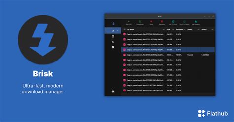 Install Brisk On Linux Flathub