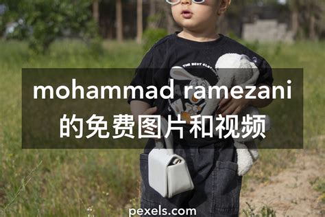 Mohammad Ramezani 摄影