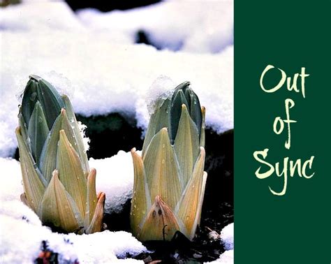 Out Of Sync Messianic Mom