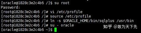 Docker安装Oracle 11g的方法 知乎