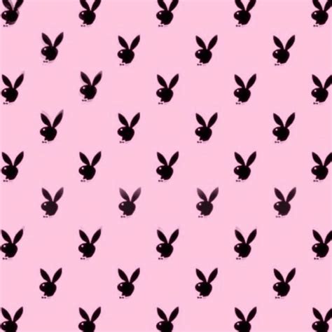 Weliassss Cant Call Lyrics Genius Lyrics