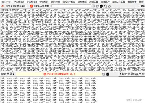 Xctf:catcatcat Writeup Rabbit解密密钥 Csdn博客 Xctf:catcatcat Writeup Rabbit解密密钥 Csdn博客