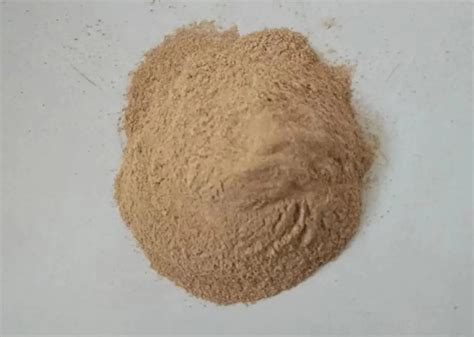 Bacillus Subtilis Là Thuốc Gì Liều Dùng Có ở đâu