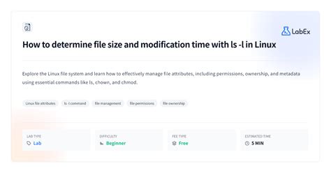 How To Determine File Size And Modification Time With Ls L In Linux Labex