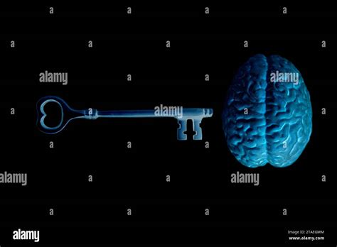 88 98 Chevy Extended Medical Anatomical Model Human Brain Anatomy Model Cerebral Cortex Brain