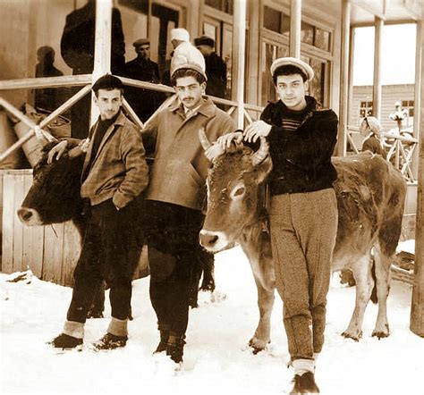 Itea ჯონდო მეტრეველი ზვიად გამსახურდია და გურამ დოჩანაშვილი ბაკურიანი 1958 Facebook