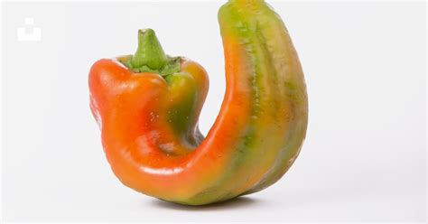 빨간색과 녹색 피망 사진 Unsplash의 무료 고추 이미지