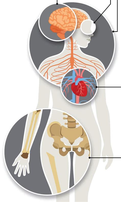 5 Surprising Symptoms Of Lyme Disease Time Magazine News でこの記事を読む